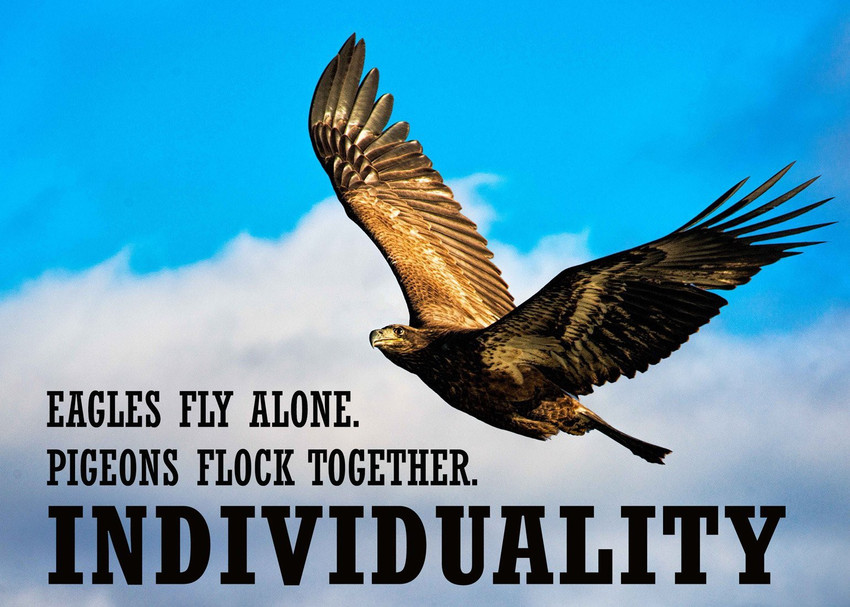 Individuality Poster