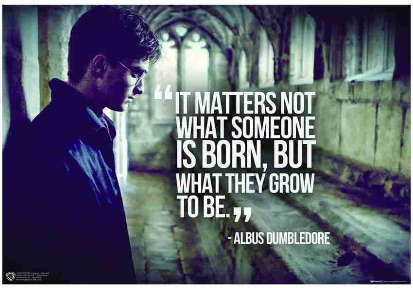 Motivational Quotes By Dumbledore