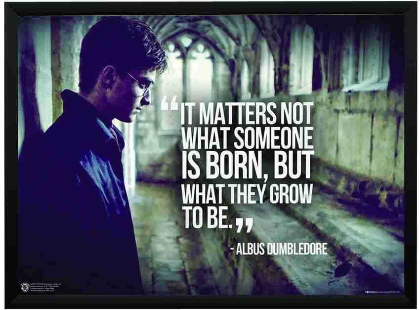 Dumbledore Curious Quotes 60 Inspiring Harry Potter Quotes That