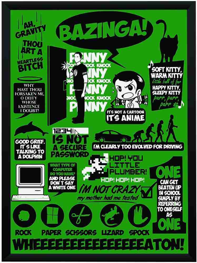 Big Bang Theory Funny Quote