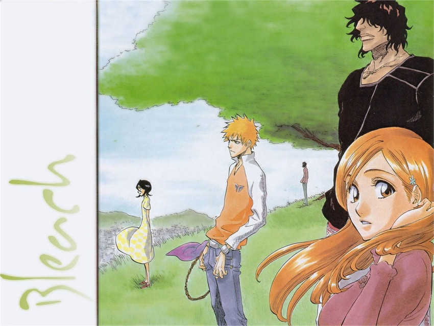 Bleach Orihime And Ichigo Wallpaper