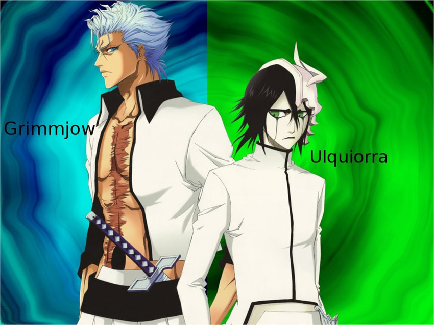 Ulquiorra And Grimmjow Wallpaper