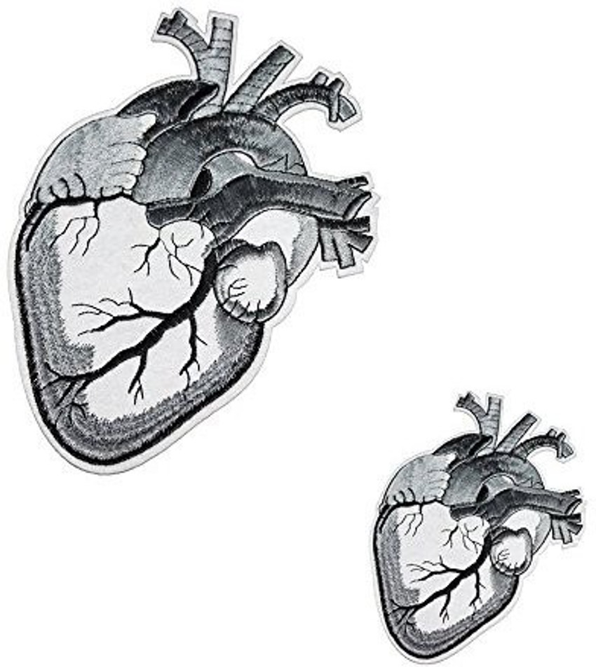 Two Human Hearts Sewn Together