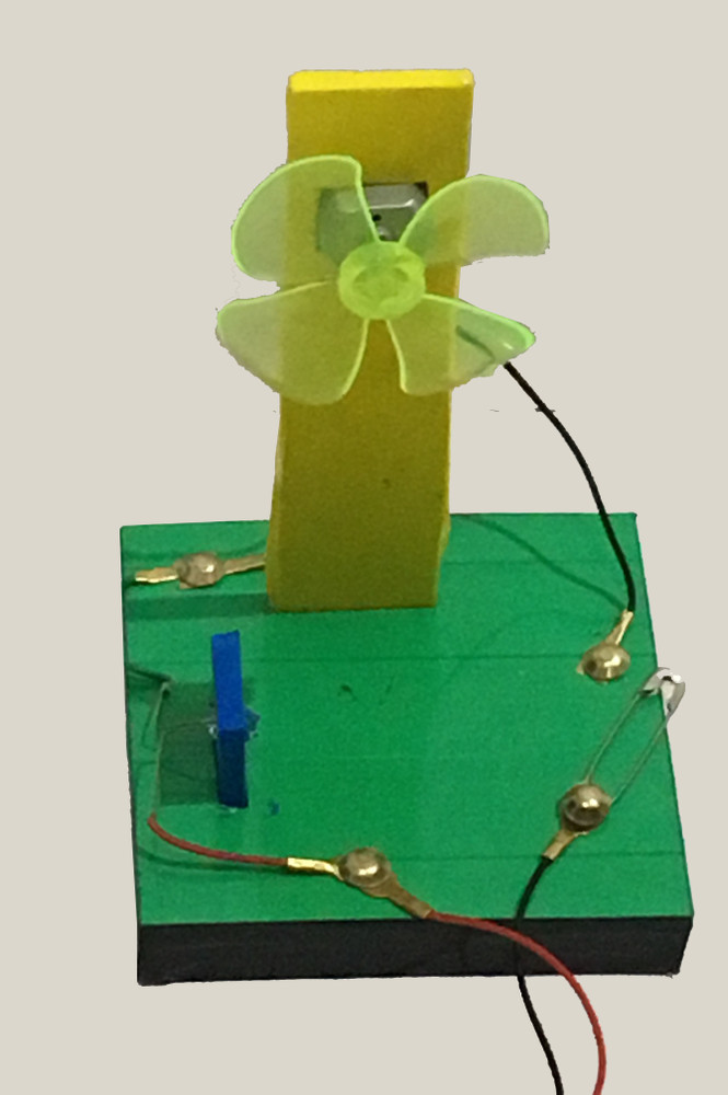 School Science Project