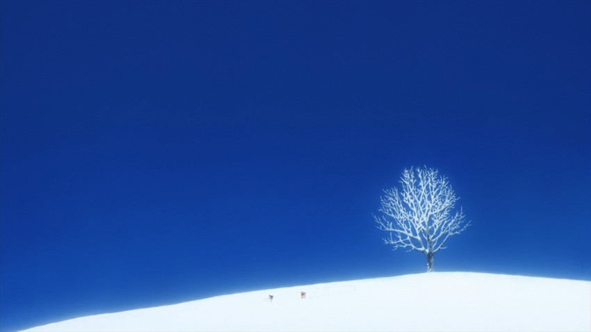 Wolf Children Wallpaper
