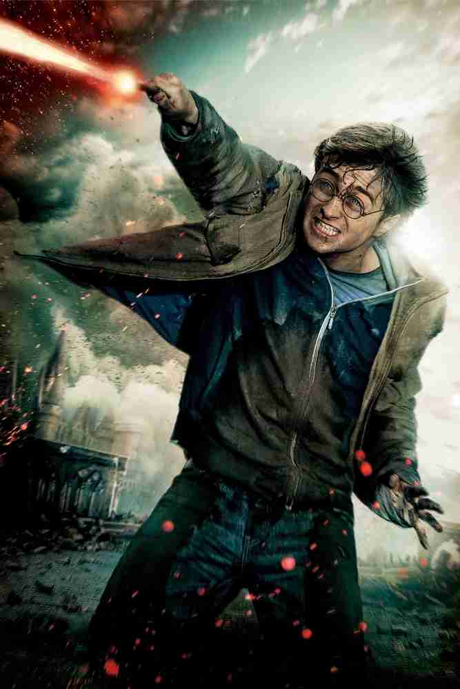 Harry Potter Voldemort Fight