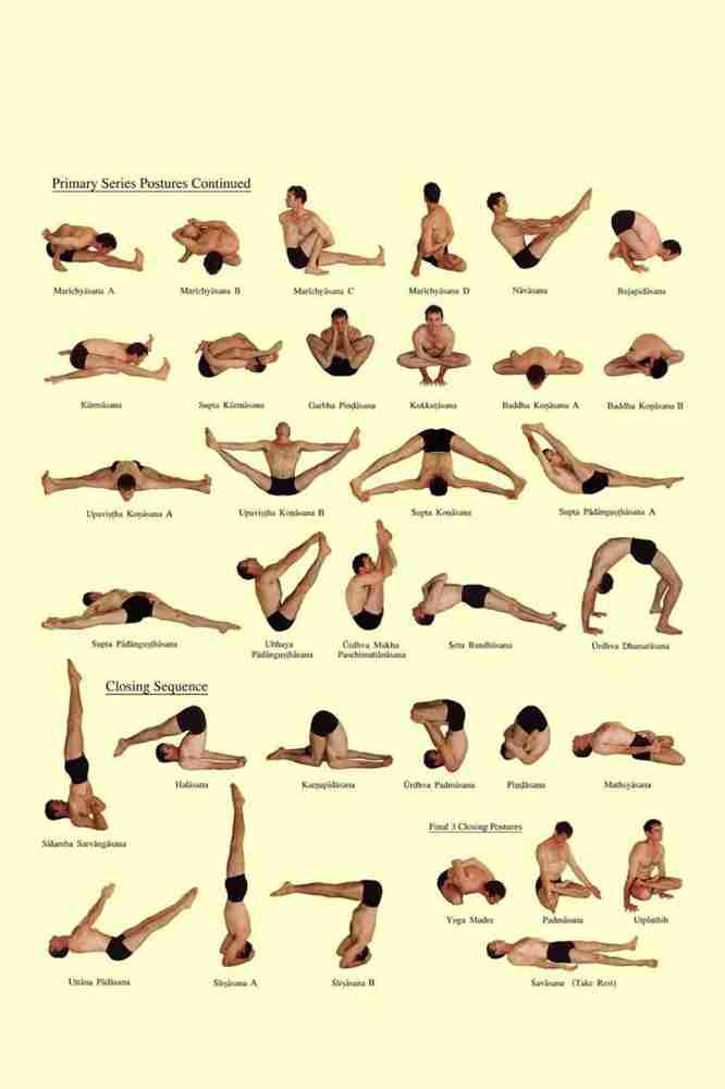 100 Yoga Poses Asanas Instructional Graphic Poster For , 43% OFF