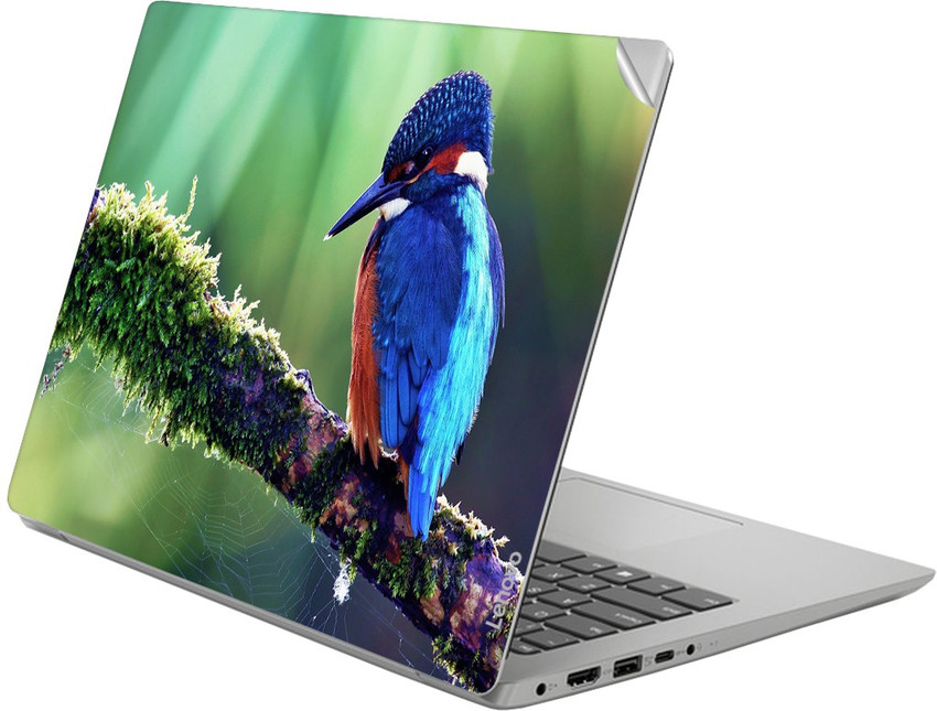 Laptop Sticker With Birds Tree