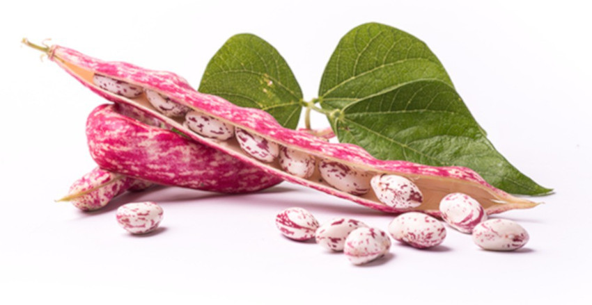 Tongues Of Fire Beans