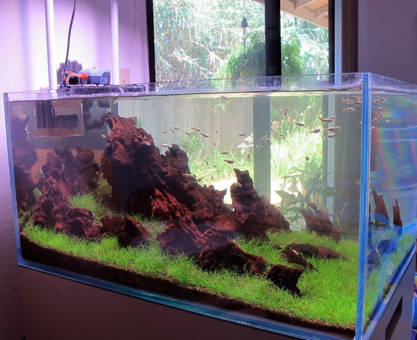 Use Of Lava Rock In Aquarium Aquarium Views Icelandic Lava Stone