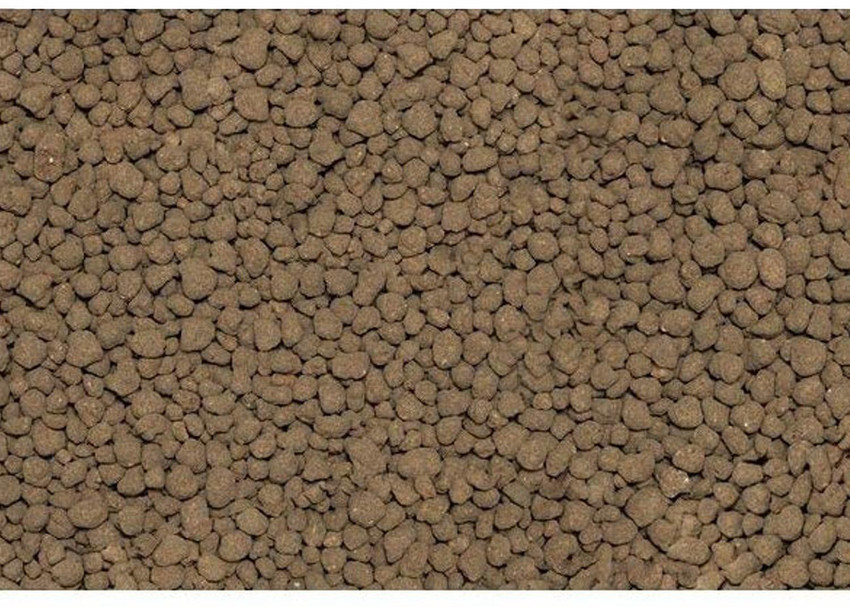 Venus Soil