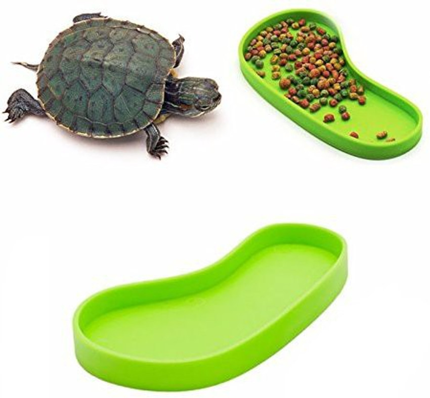 Pet Turtle Bowl