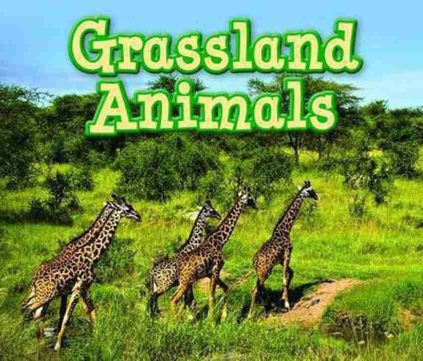 Grassland Biome