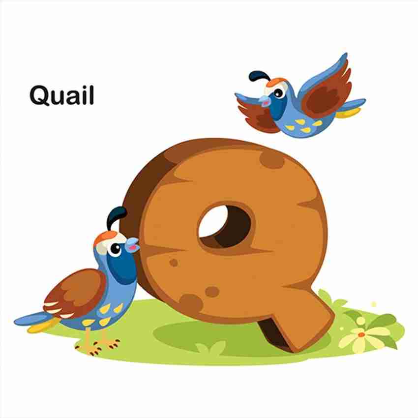 Cartoon Quail