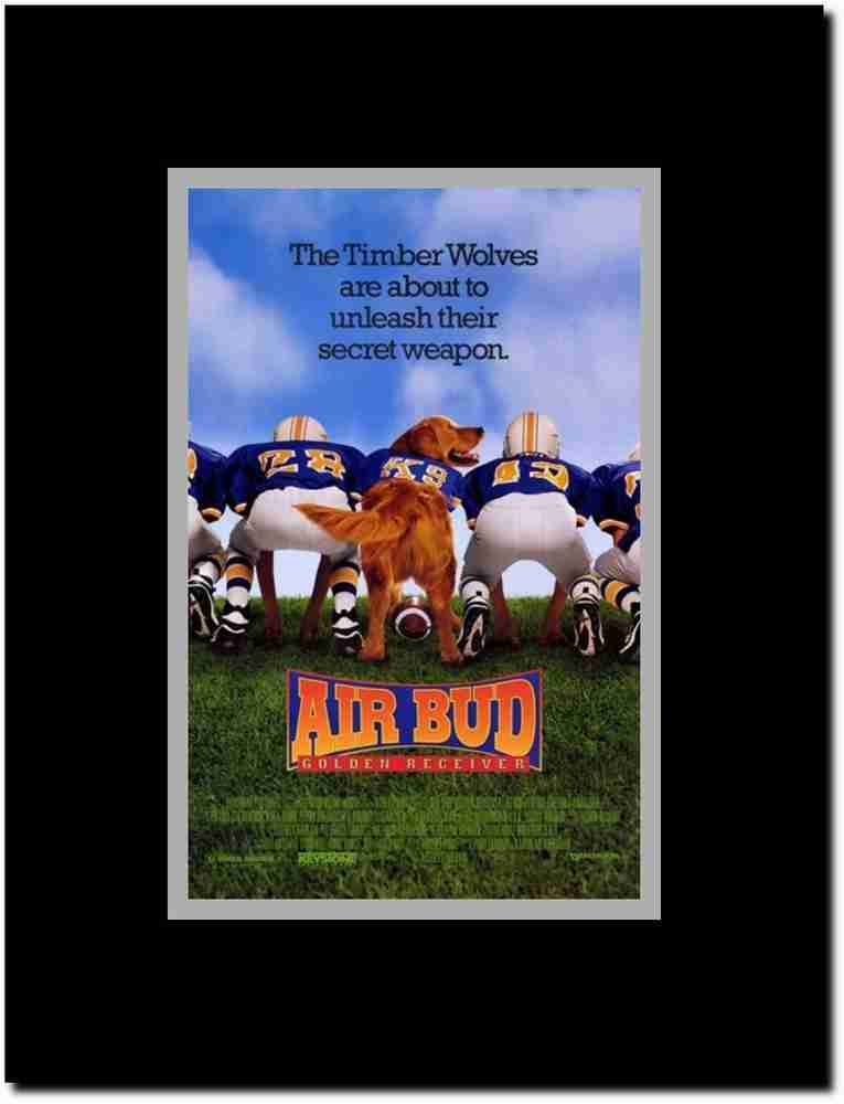 Air Bud Golden Receiver Poster