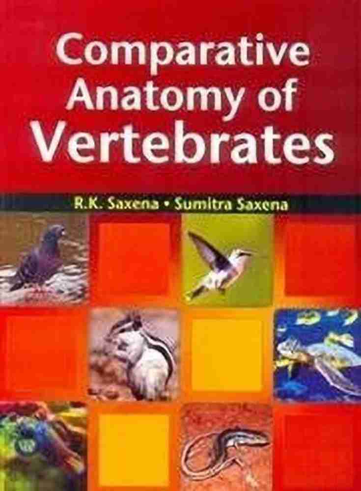 Comparative Anatomy Of Vertebrates