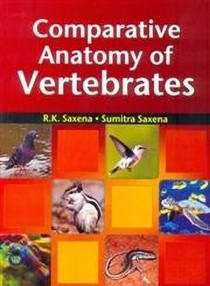 Vertebrate Comparative Anatomy Comparative Anatomy Of Vertebrates.