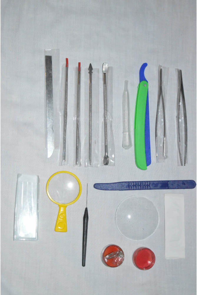 Camel Scholar Dissection Instruments Box 3008, 44% OFF