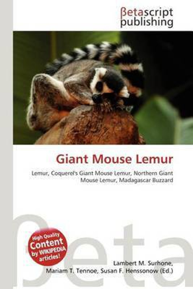 Northern Giant Mouse Lemur