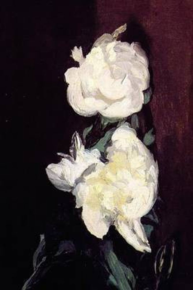 Manet Peonies