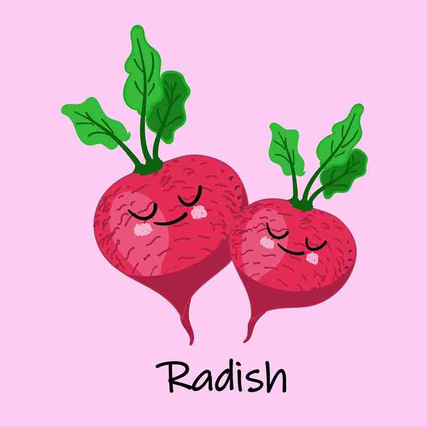 Radish Drawing For Kids