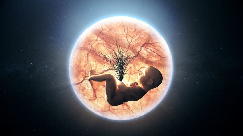 Thy Womb Poster