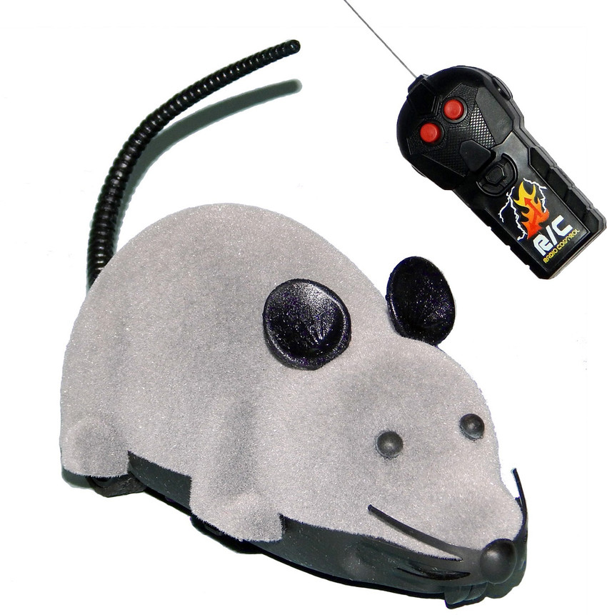 Rc Mouse