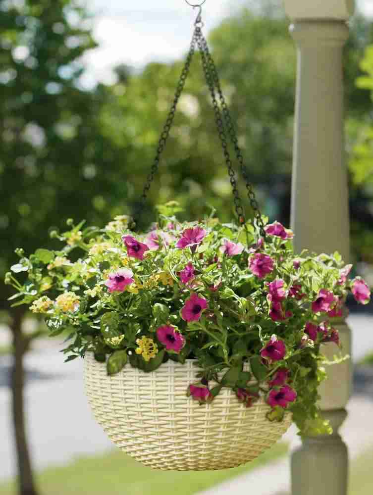 Antier Plastic Hanging pots for Plants and Flowers for Garden Balcony decor Pack of 1 Beige Plant Container Set Price in India Buy Antier Plastic Hanging pots for Plants and Flowers