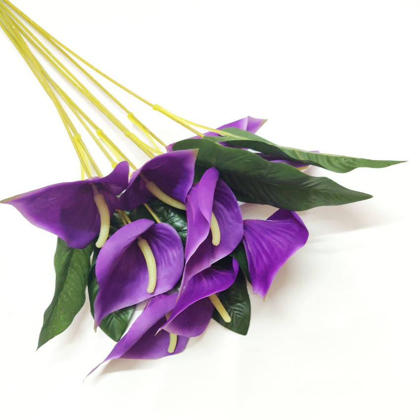 Purple Peace Lily
