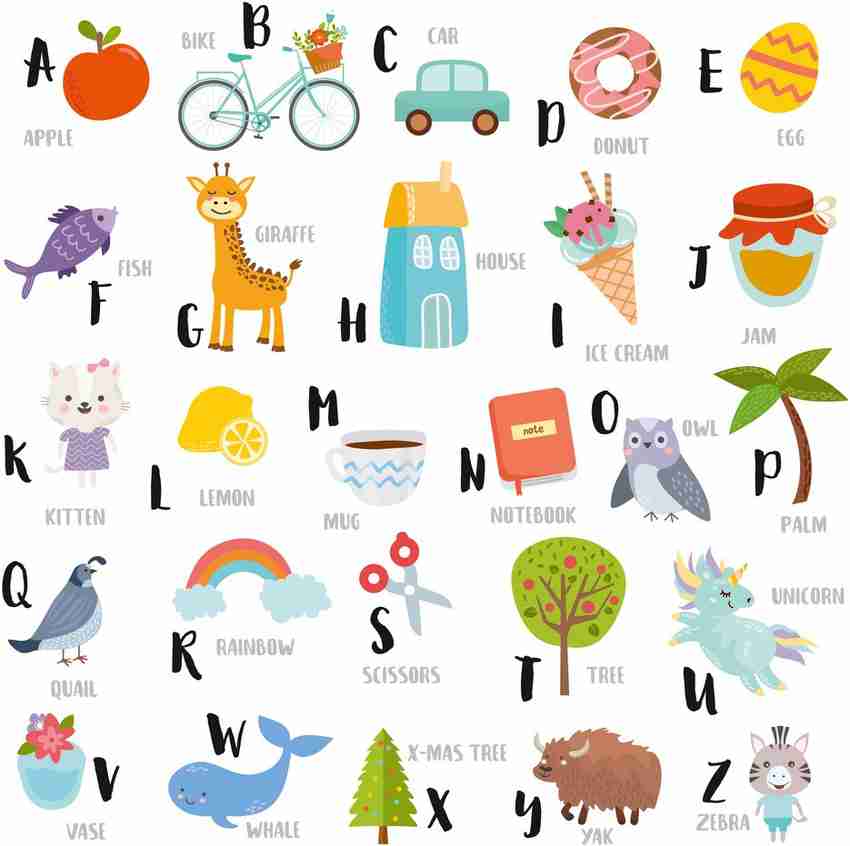 Semi Circle Objects
