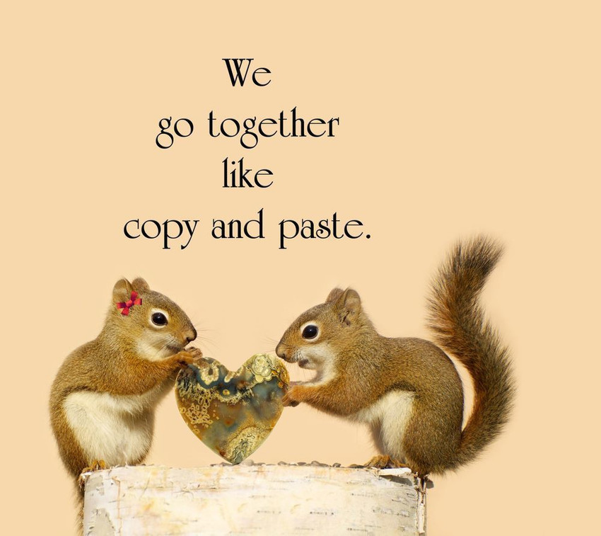 We Go Together Like Quotes