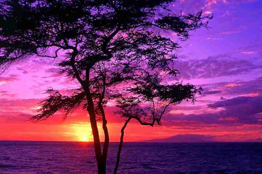 Sunset Scenery Wallpaper Sunset Wallpapers: Free HD Download [500+ HQ]