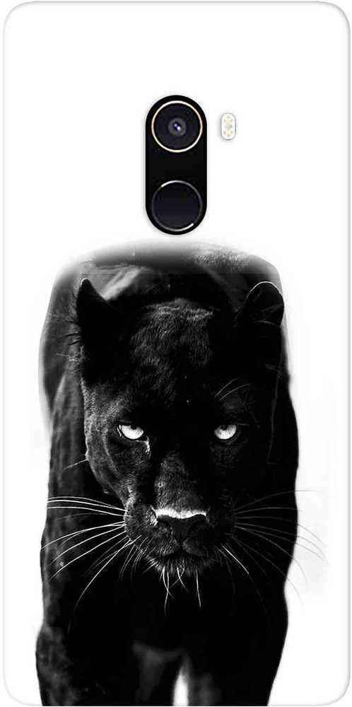 Lion And Panther Mix