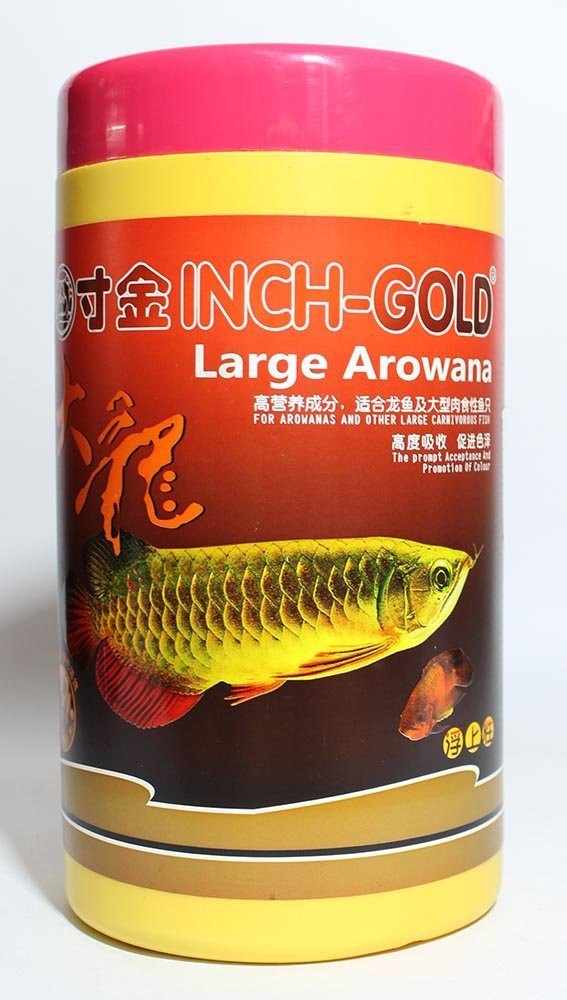 Gold Arowana Fish