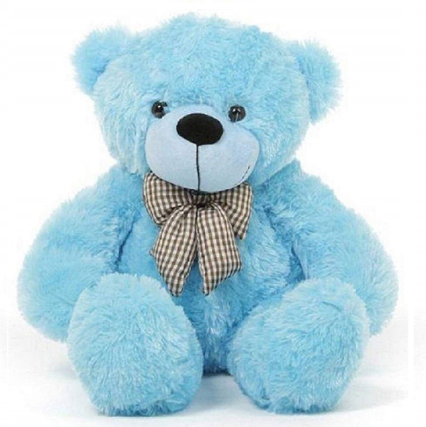 Blue foot bear company store