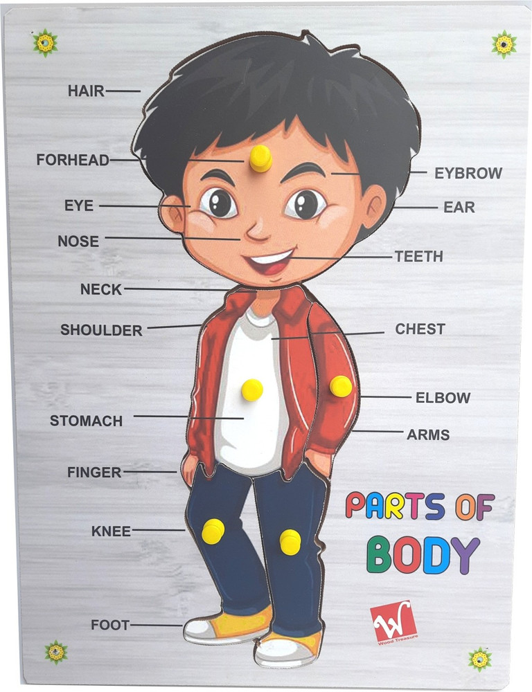 Boy Body Parts Name