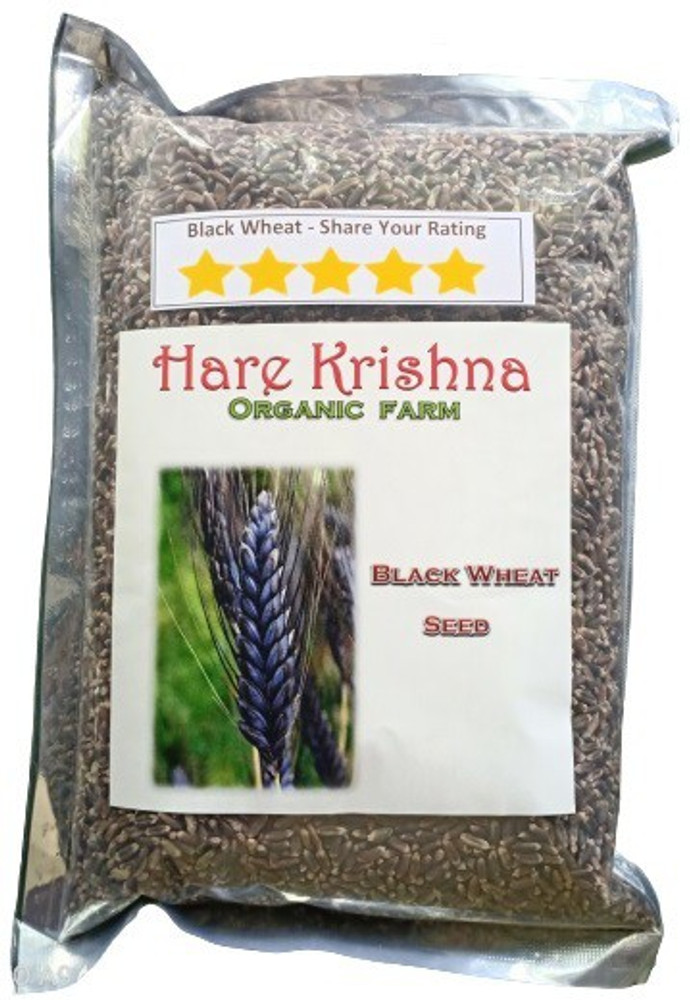 Wheat Seeds For Farming