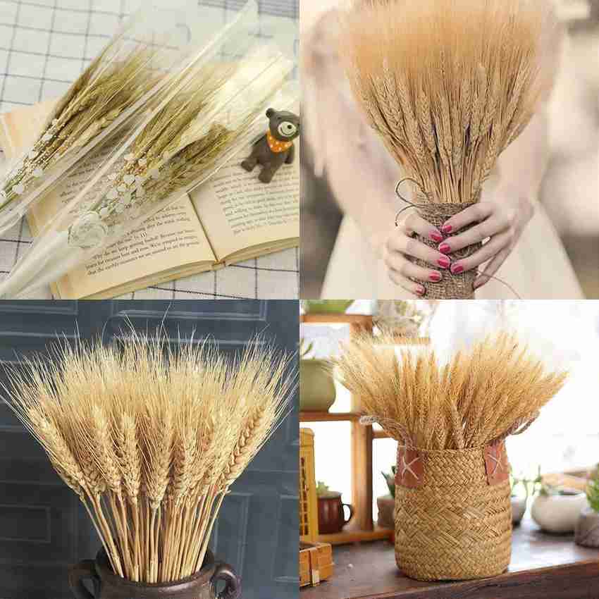 Dried Wheat Arrangements