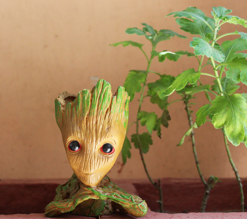 Arte Groot
