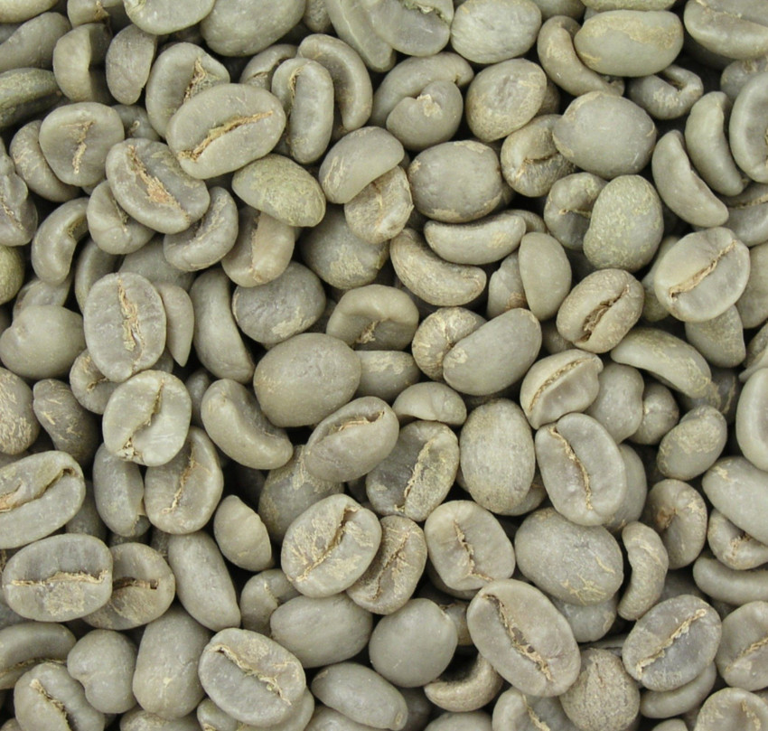 Green coffee beans for sale store