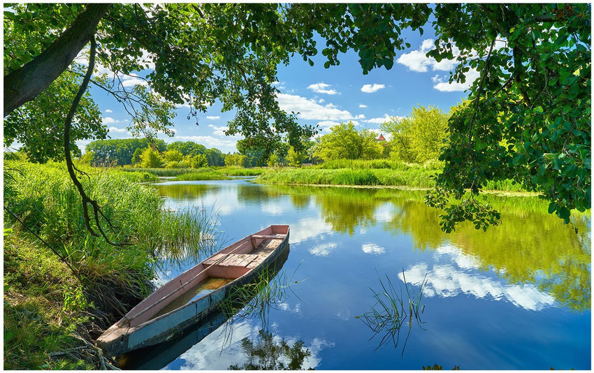 Beautiful Images Of Environment Beautiful Green Nature (17)