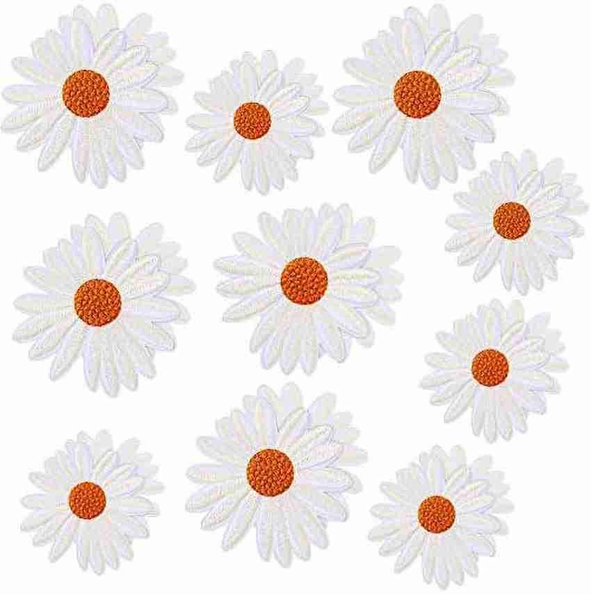 Tumblr Transparent Daisies
