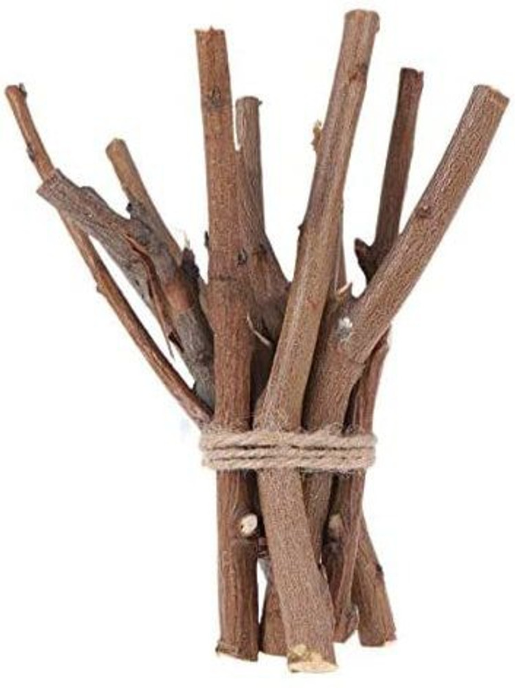 Wooden Stick Branch