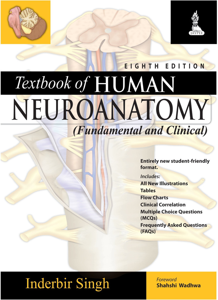 Neuroanatomy General Neuroanatomy | Basicmedical Key