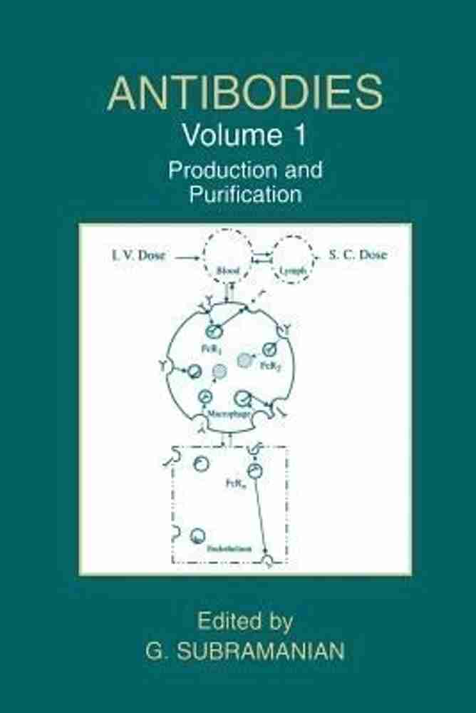 Serology Meaning Antibodies Definition Functions Types And Examples