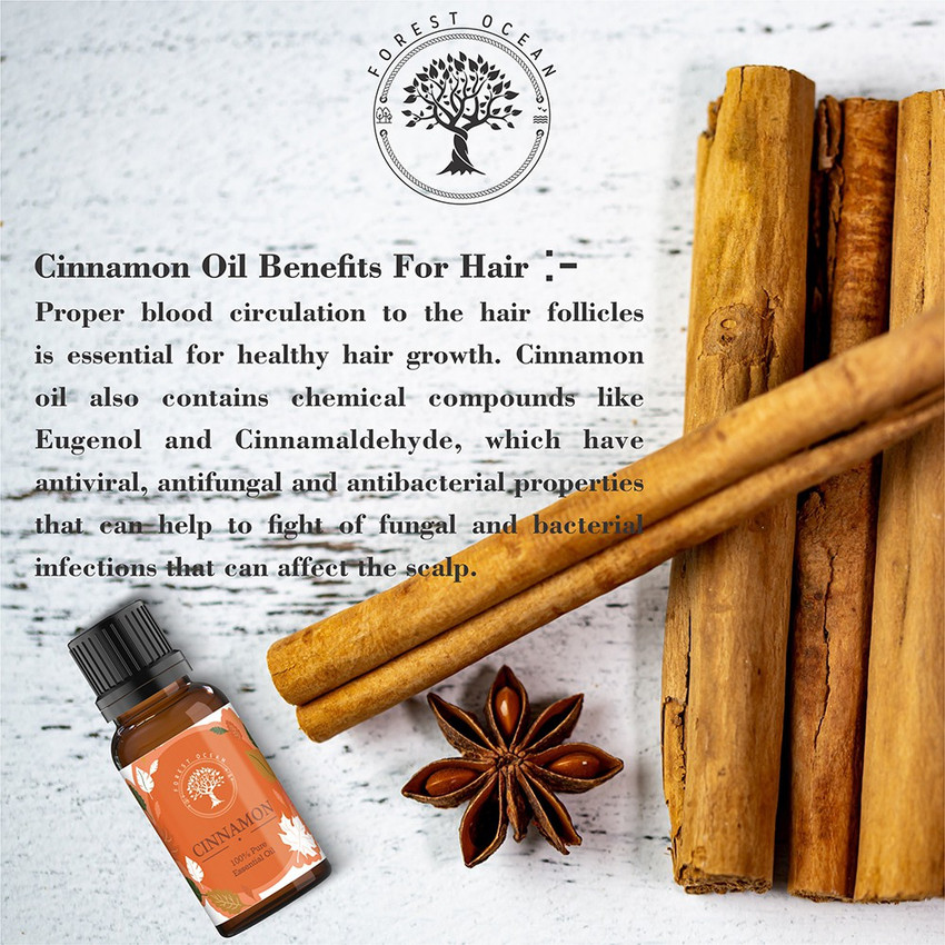 FOREST OCEAN Cinnamon Essential Oil 100 Pure 30ml Price in India Buy FOREST OCEAN Cinnamon Essential Oil 100 Pure 30ml Online In India Reviews Ratings Features Flipkart