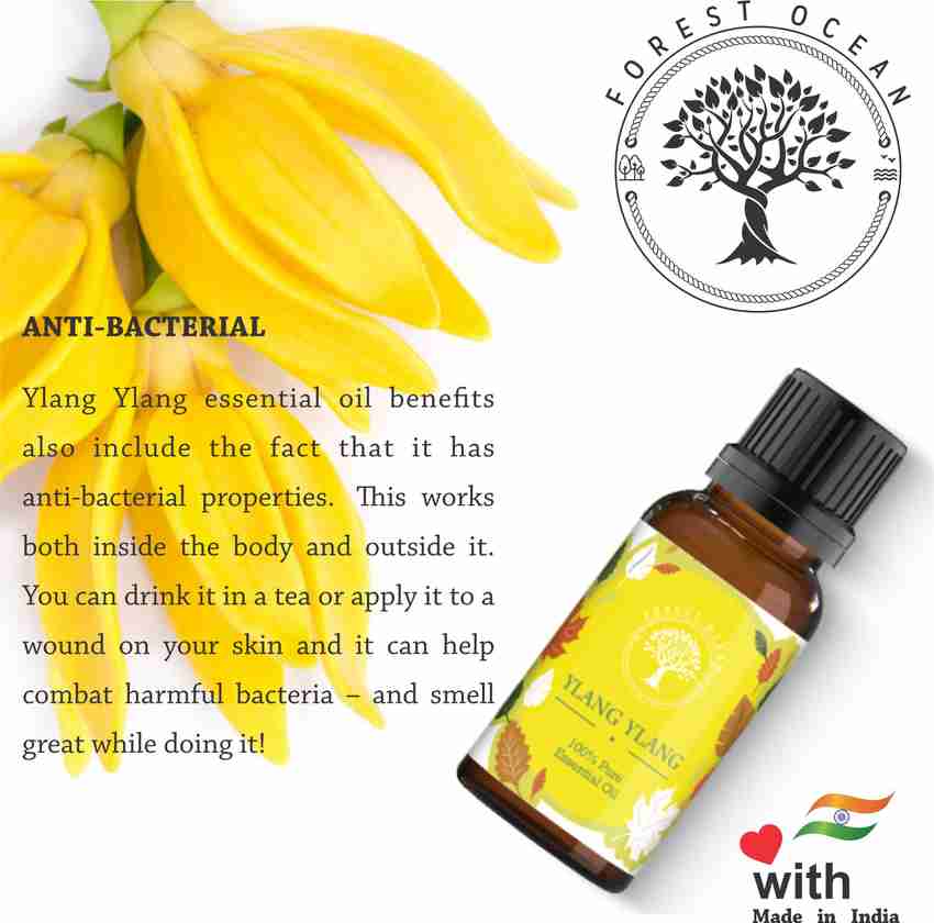 Benefits of ylang ylang essential oil store