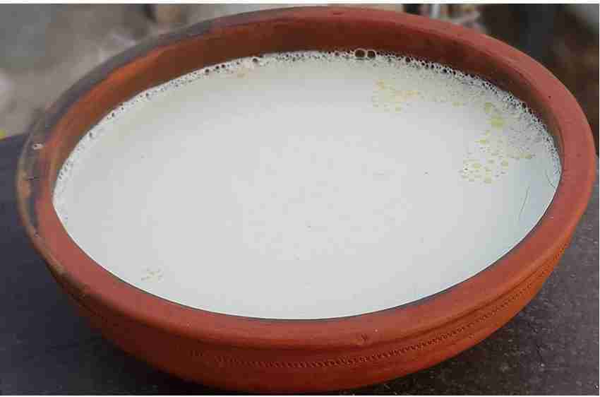 Curd Pot