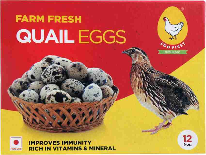 Quail Bird Egg