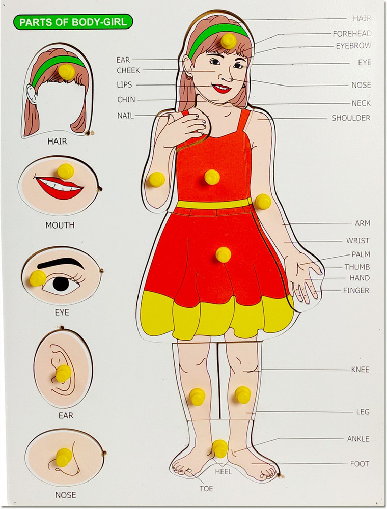 Girls Body Parts Name With Picture